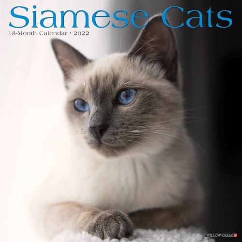 Best Siamese Cat Calendars 2022