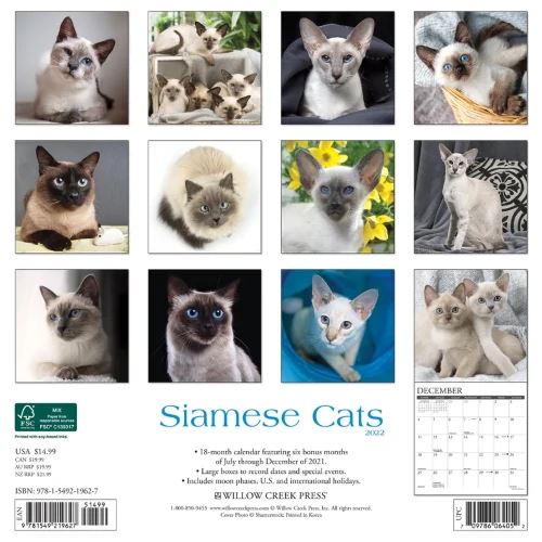 Best Siamese Cat Calendars 2022